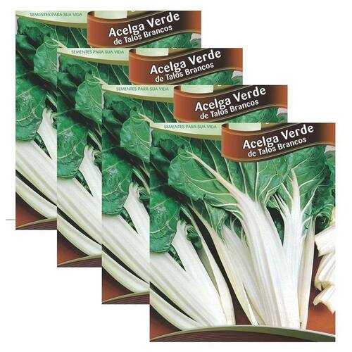Sementes Acelga Verde Para Mudas 5 Envelopes | Extra