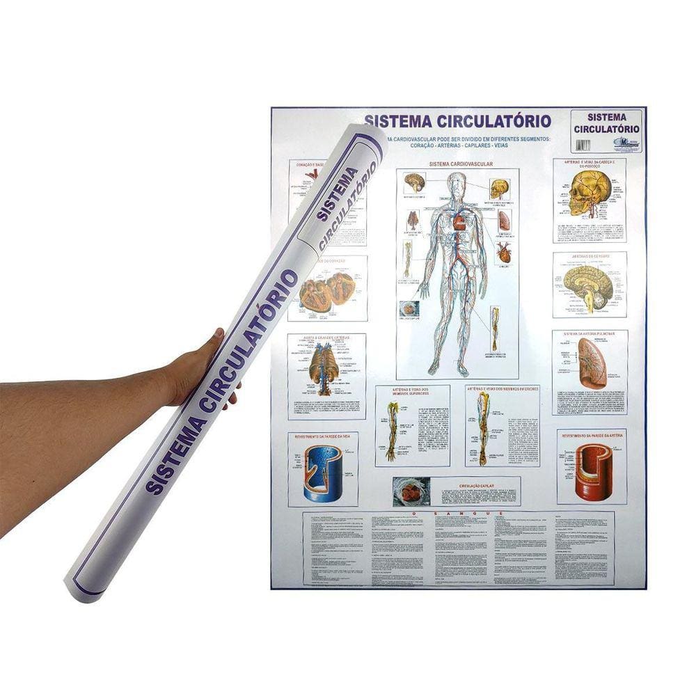 Mapa corpo humano sistema reprodutor feminino poster anatomia | Extra Mapa corpo humano sistema reprodutor feminino poster anatomia | Extra
