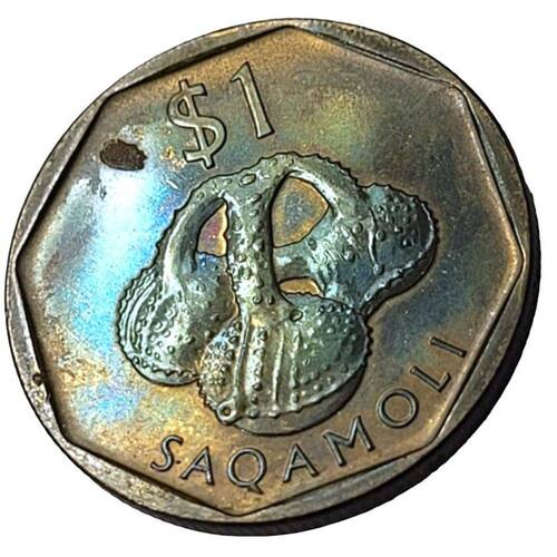 Moeda com rara pátina cor de elefante de 1 Dólar | Extra